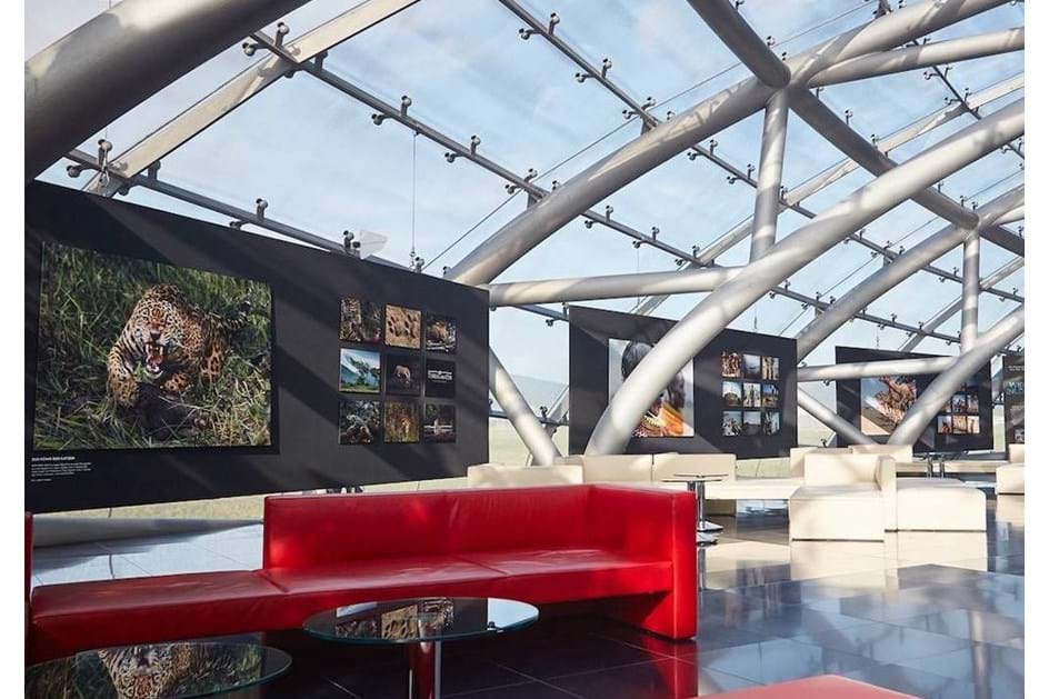 Hangar 7 - o museu da Red Bull - Actualidade - Aquela Máquina